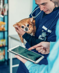 Veterinary Training Programs | Penn Foster